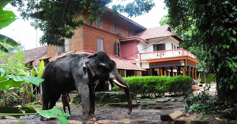 Indian Roadie: Ottappalam, Palakkad district, Kerala road trip during ...