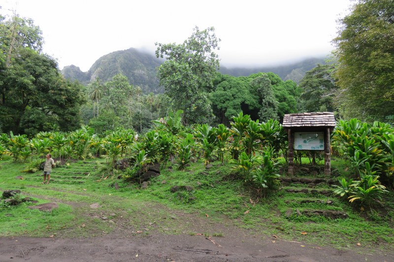 SV Erica's travels: Marqueses, French Polynesia (3rd August to 13th ...