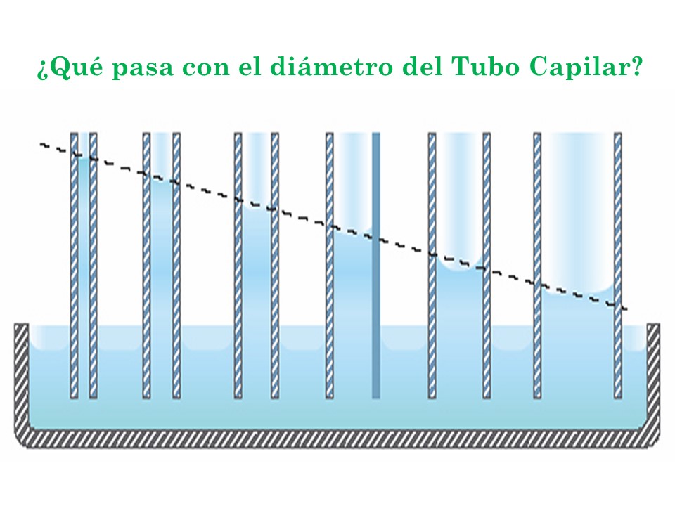 Física: Presentación Capilaridad