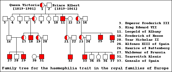 Antonio Gala SCIENCE: Family trees for a single trait. Genetics. 4º ESO ...