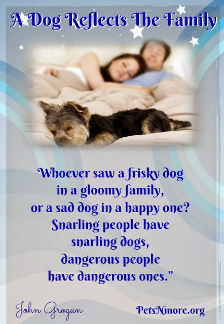 Pets N More: Inspiring Quotes For People Who Love Animals