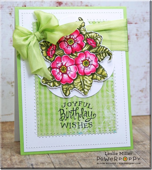 Seize the Birthday: Winners!