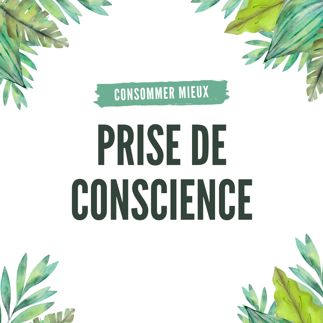 Prise de conscience - So curiosity killed the cat