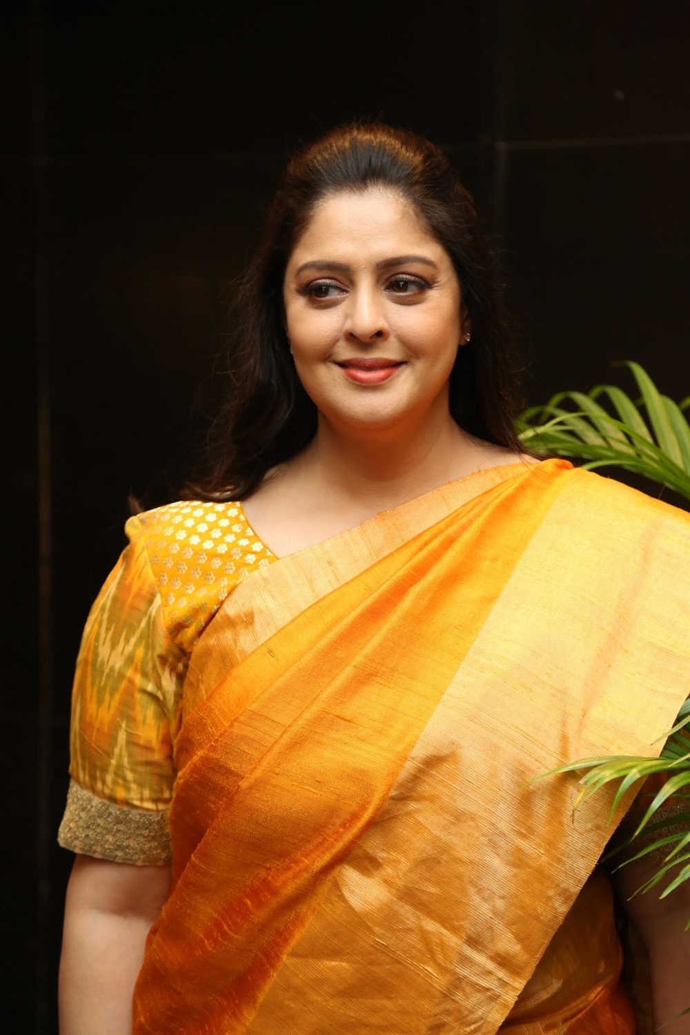 Nagma at T.Subbarami Reddy National Film Awards 2017 And 2018 ...