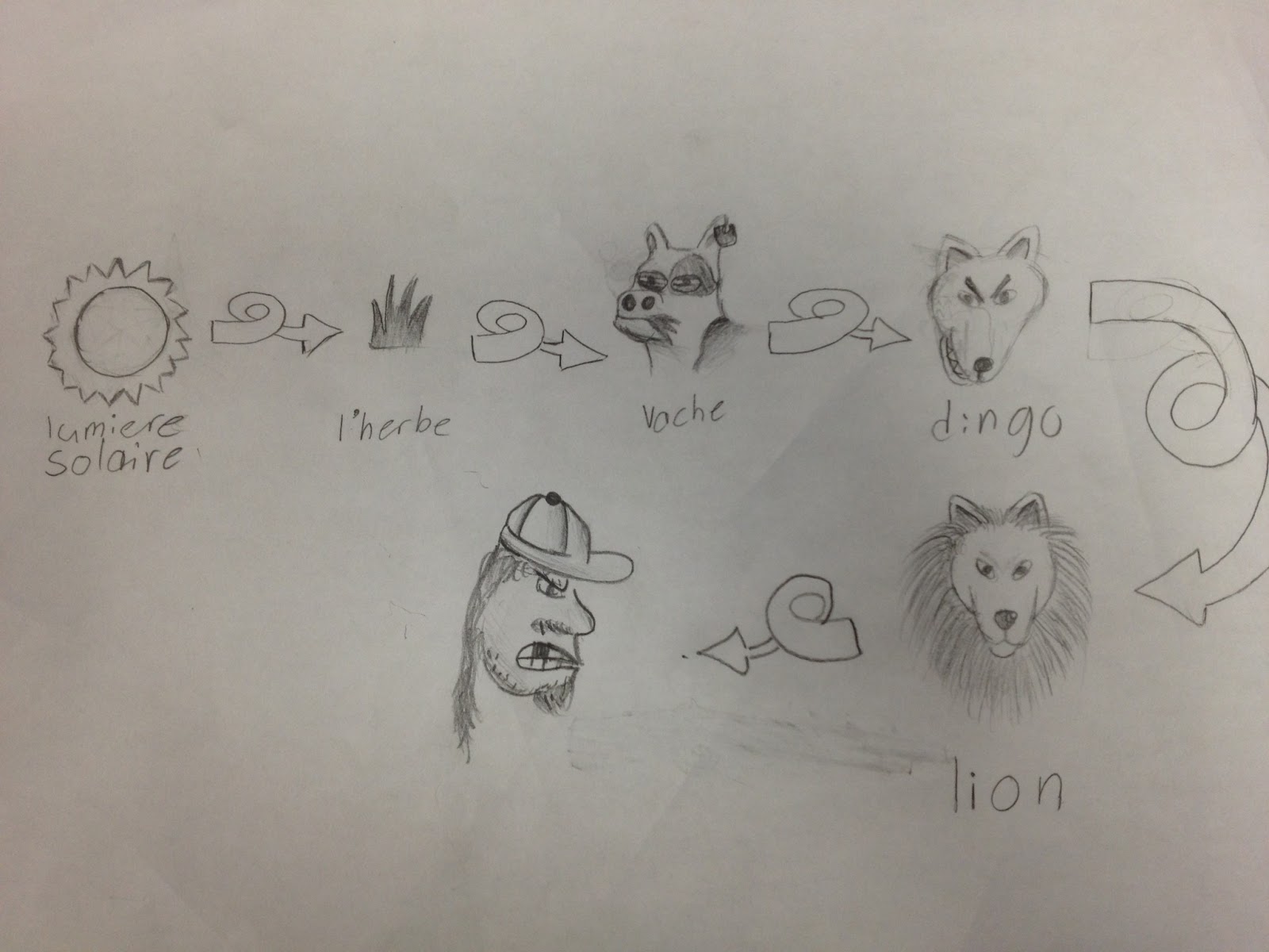 French is Fun: Fun With "les chaînes alimentaires" (food chains)