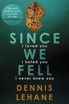 Before We Fell review: brilliantly unconventional domestic noir ~ EL ...