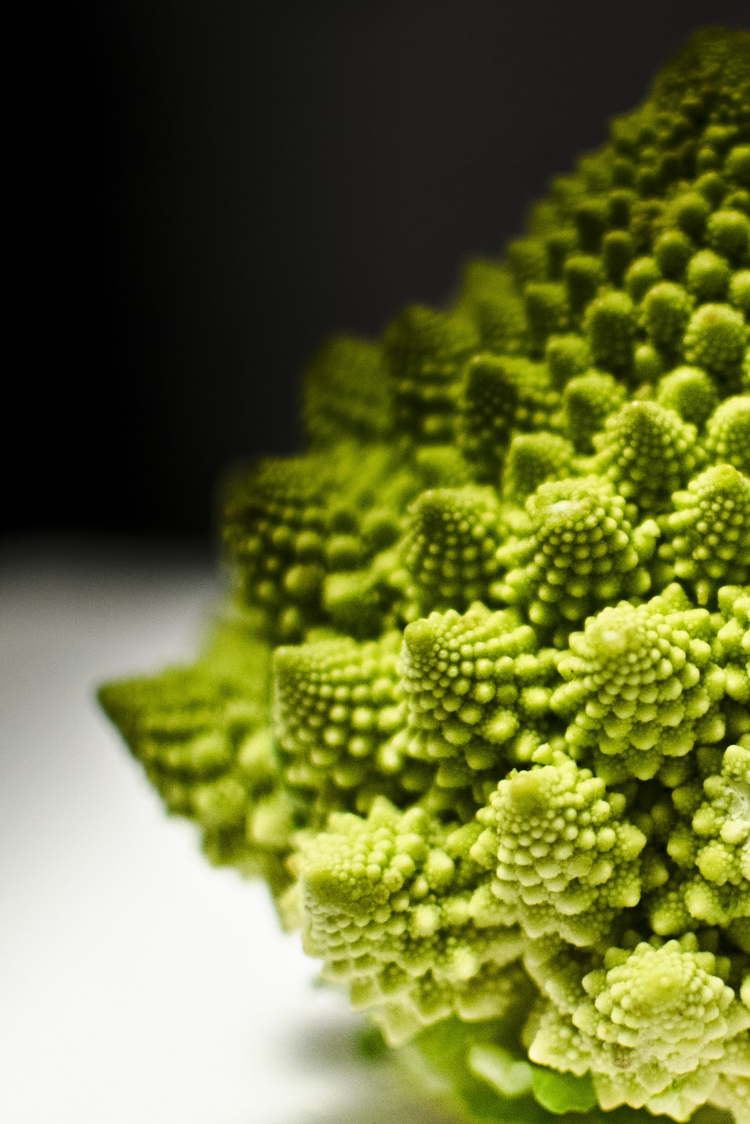 Fork it over, Boston!: Fractal Broccoli for Miss Lima