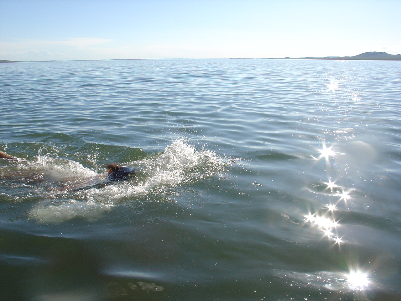 Ugii lake ~ Mongolia