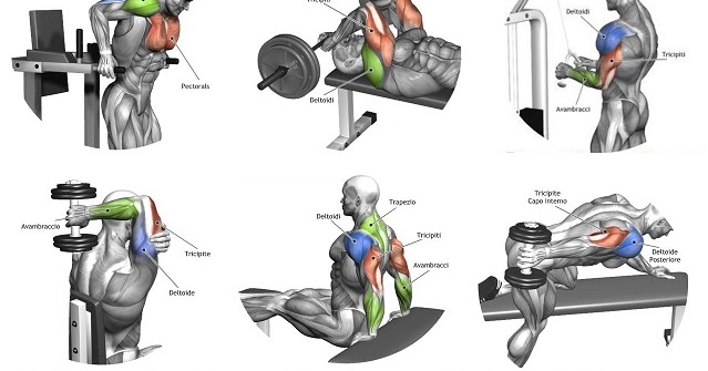 Best Tricep Exercises For Mass ~ multiple fitness
