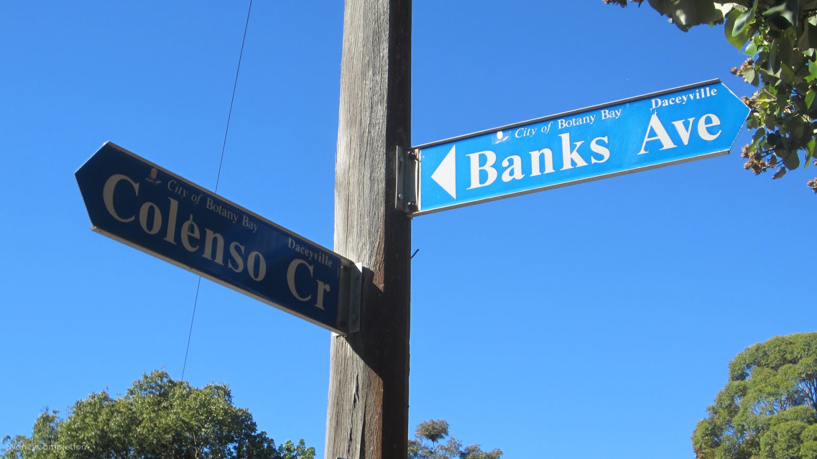 Public Gardens: Daceyville - Completing Sydney