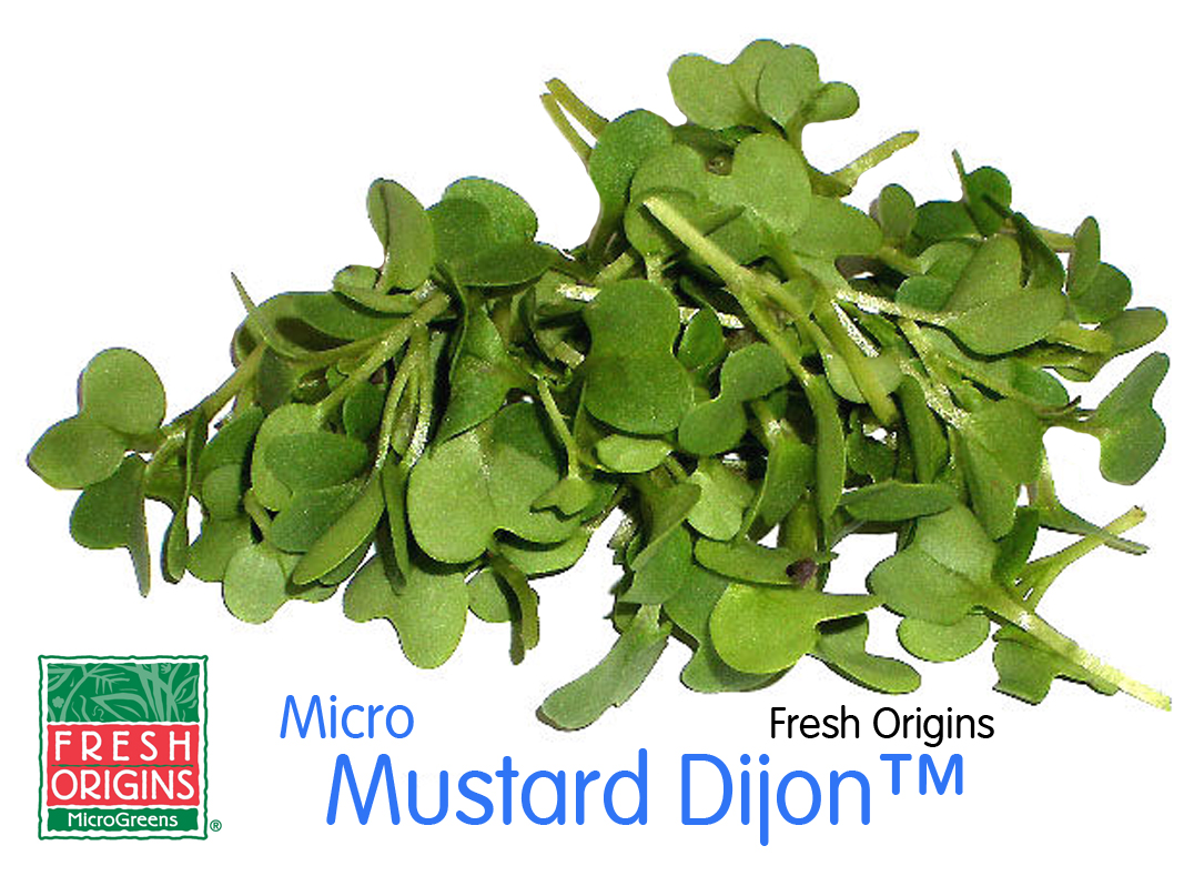 Whom You Know: Spice Up Your Life with Micro Mustard Dijon by Fresh ...