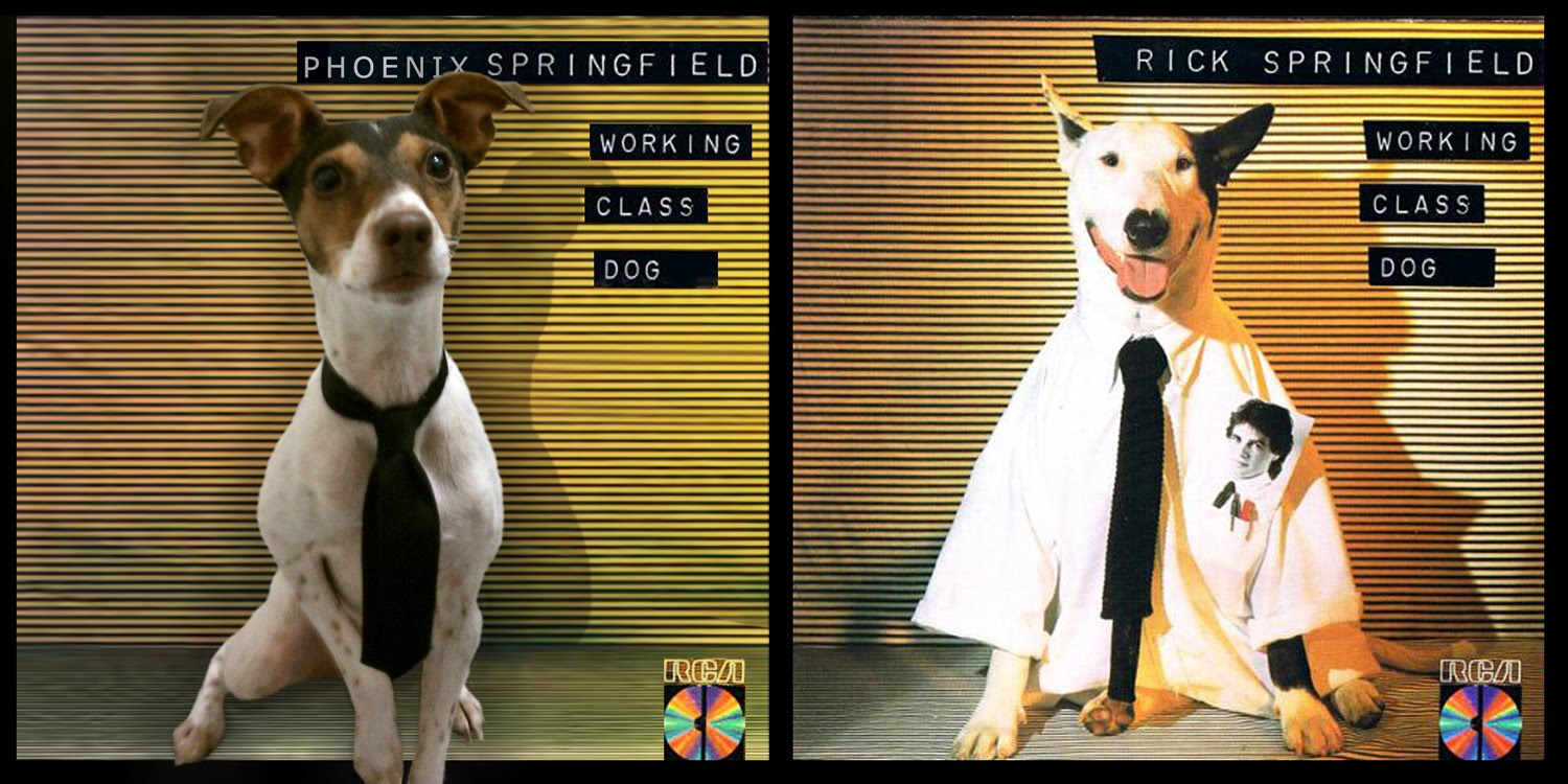 The "P": Working Class Dog