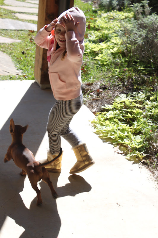 Mojoy: Cute little Gabs and Myers Briggs