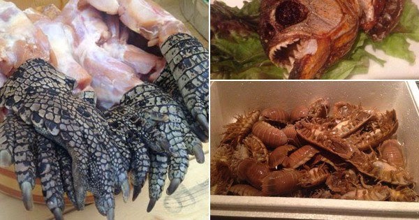 Love Food ? You May Want To Taste These | Olearmuio