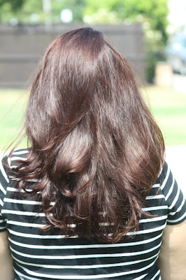 McClellan Clan: Henna Color Lab