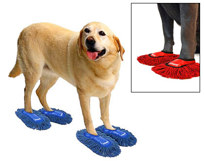 Three “MUST HAVE” Items Your DOG can't do Without! | BOLD and UNUSUAL ...