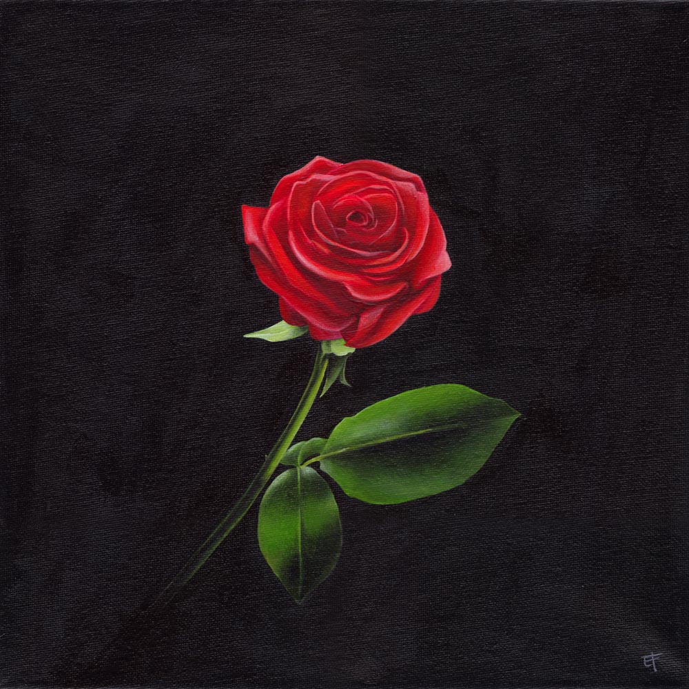 Eric F. Artiste Peintre: Rose rouge sur fond noir