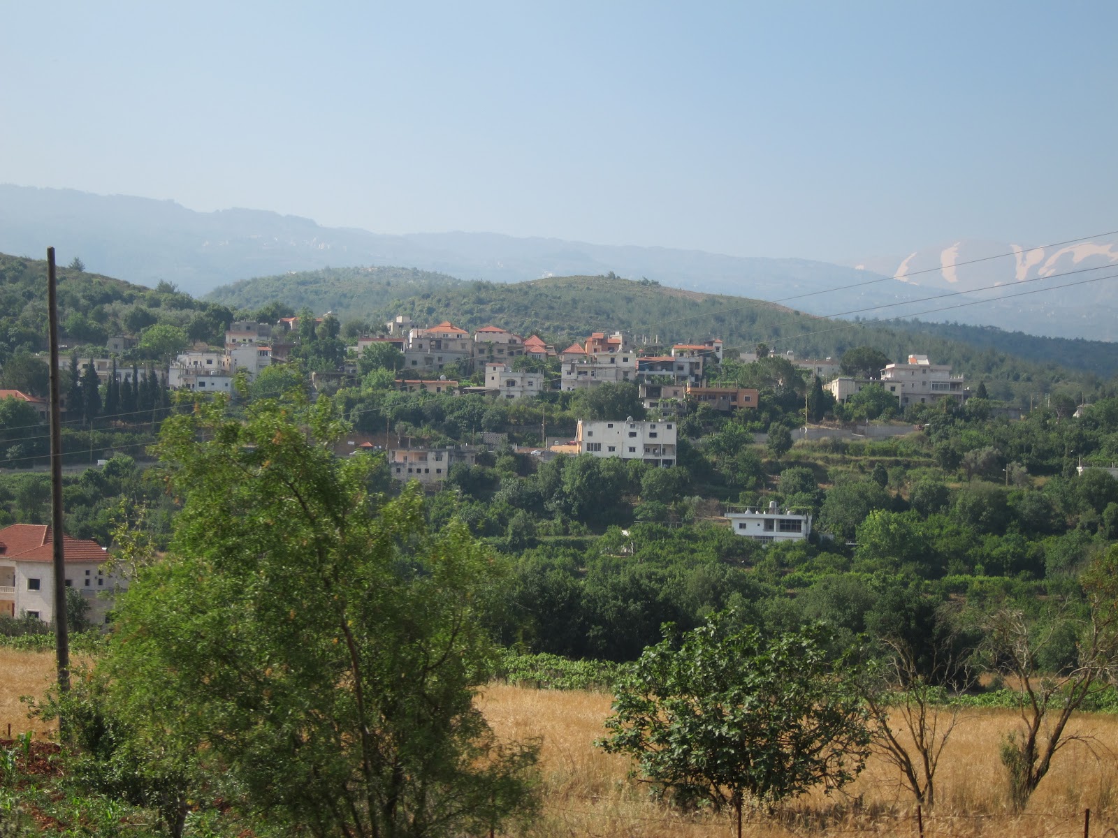 Gillie's Big World: Village Life in Northern Lebanon