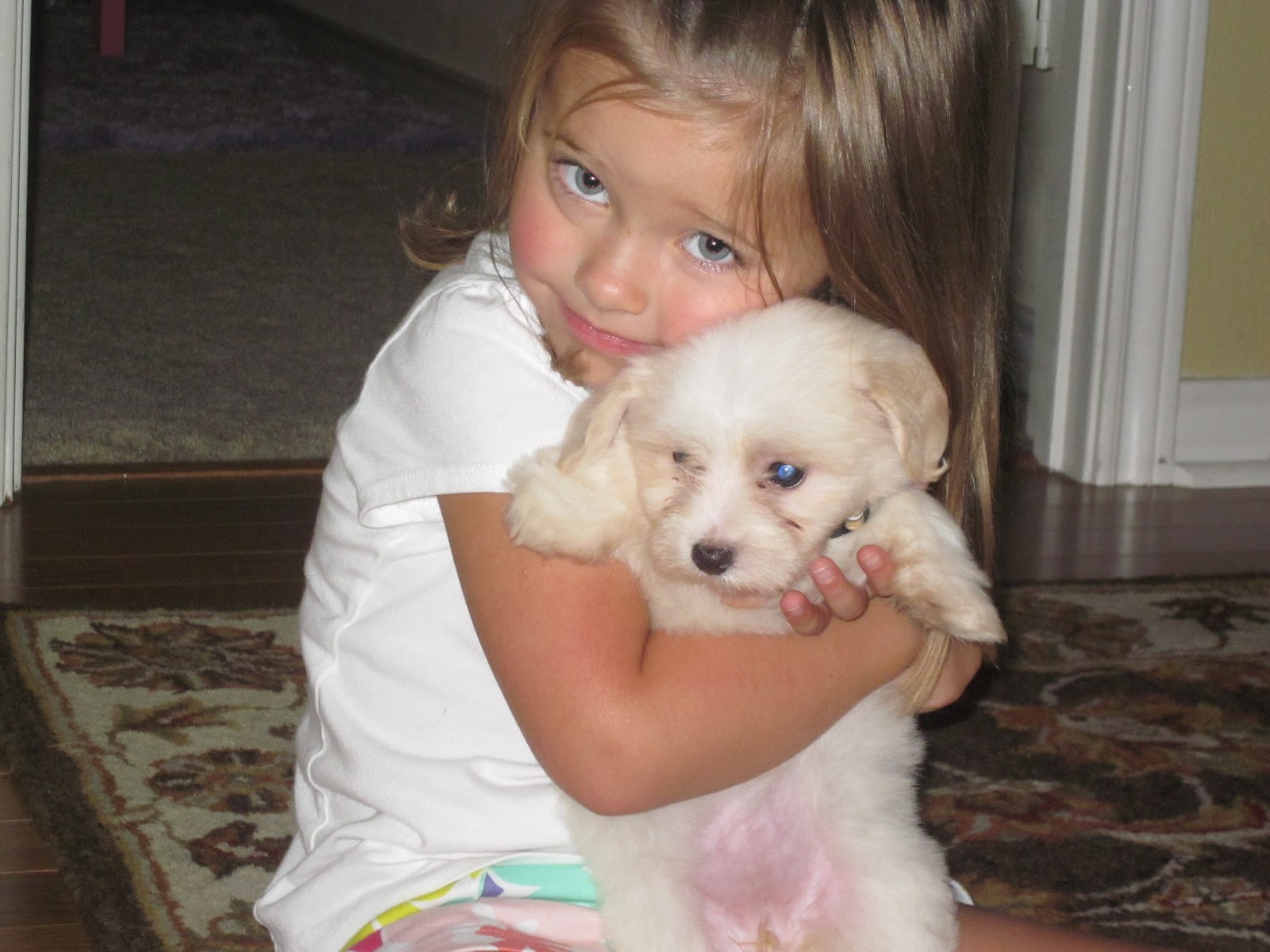 Poppy Popsicle Recipe | Mix and Match Mama