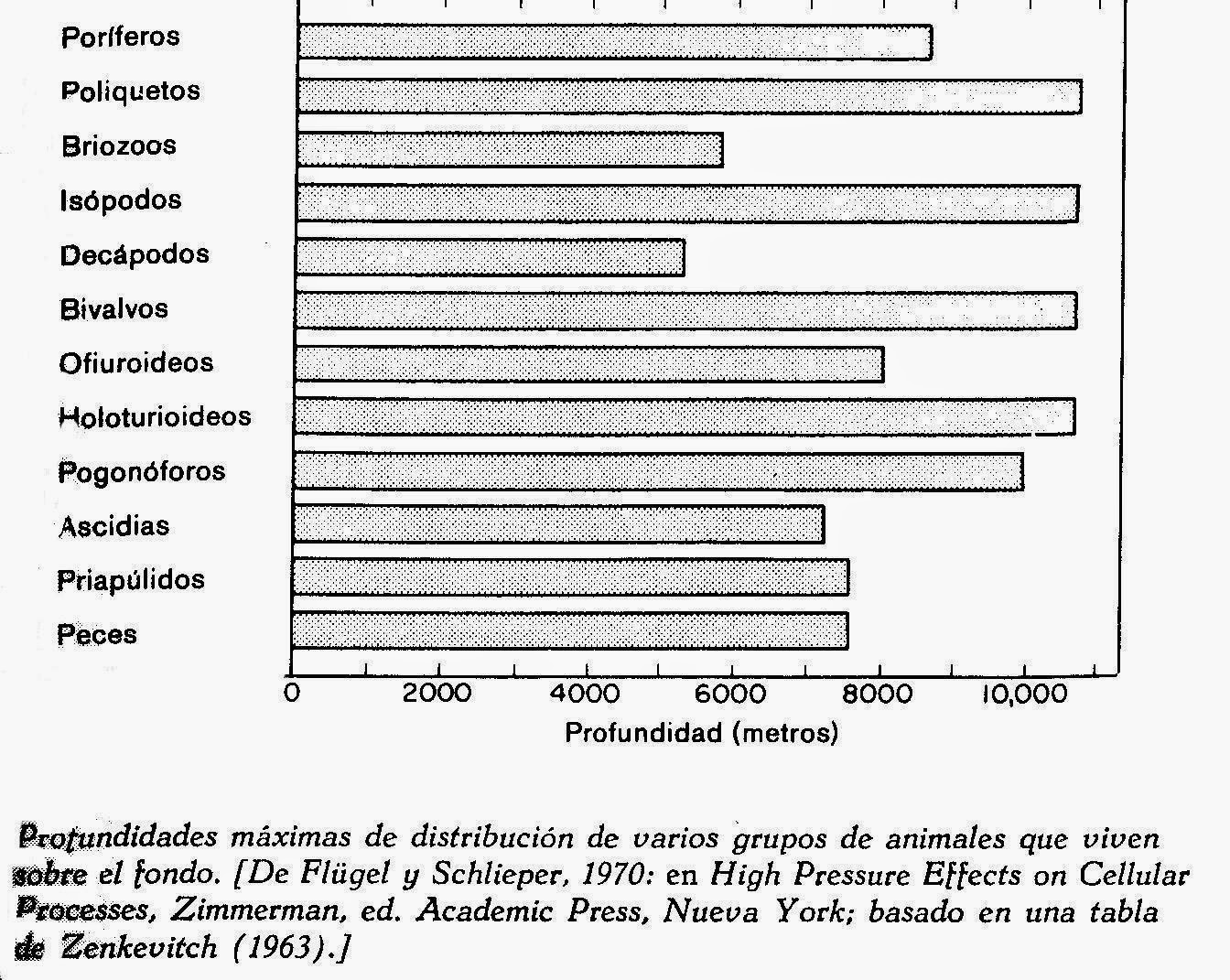 Ecosistema Tierra: HIPERBARISMO