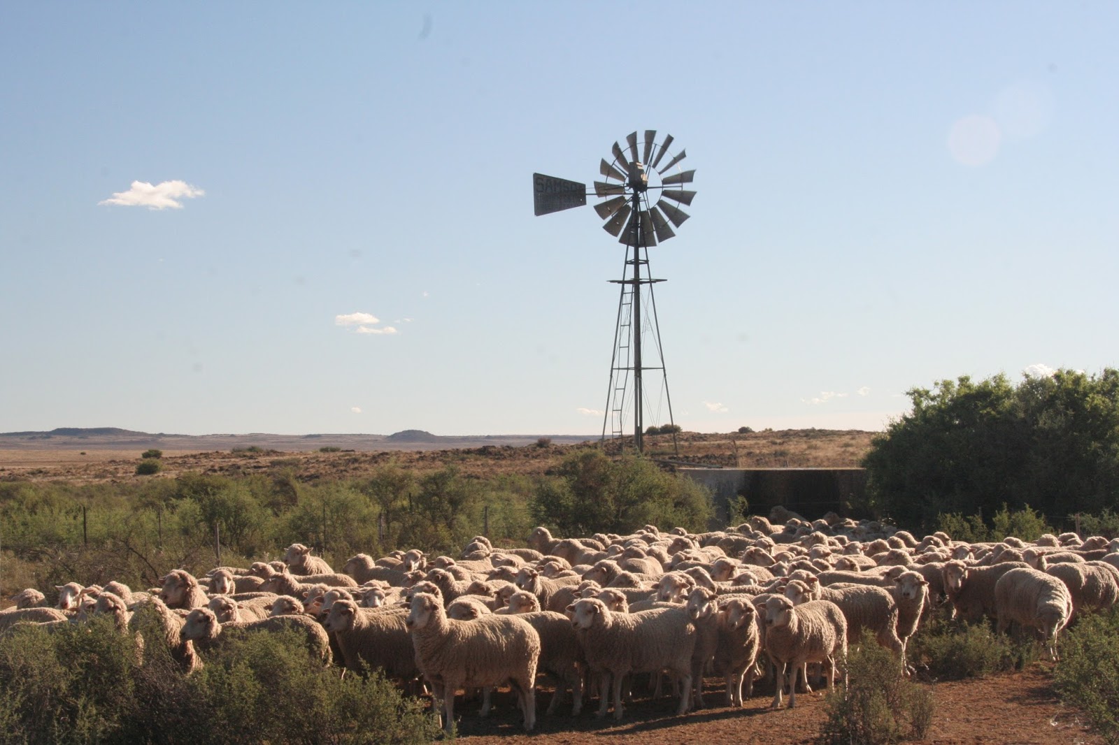 Skaapboerdery – entlik maar 'n “Syferspeletjie” ~ Amass Farming Tips & Info
