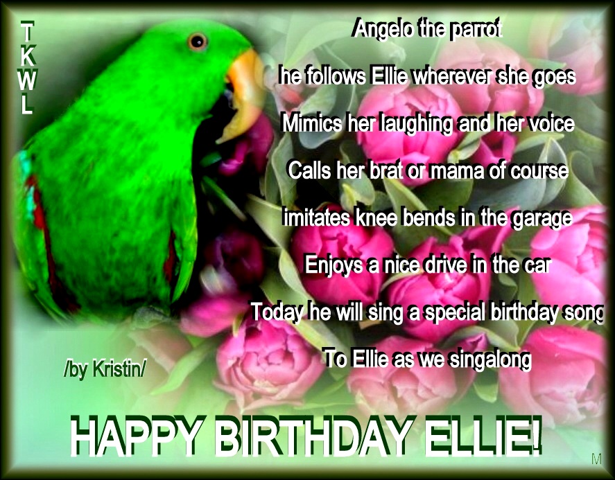 Happy Birthday Ellie