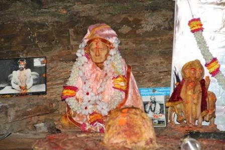 Kardali Van: Photo Album 4 - Kardalvanam - Forest