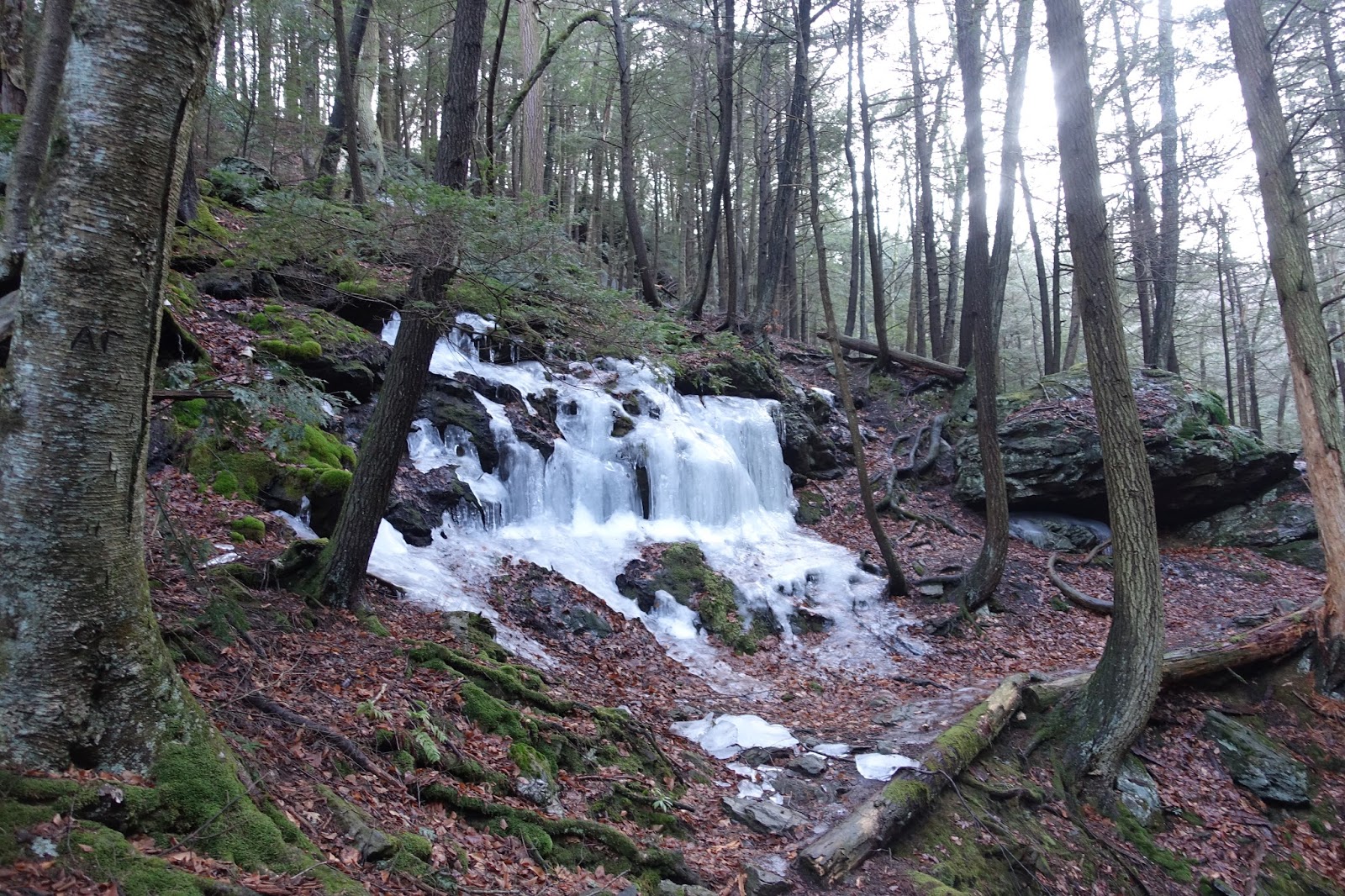 Of Rock & Riffle: A Monumental Mid-Winter's Day in a Deep, Dark Ravine