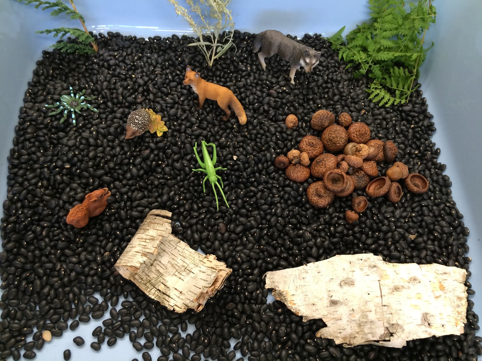 Creative Projects for Kids: Forest Sensory Bin