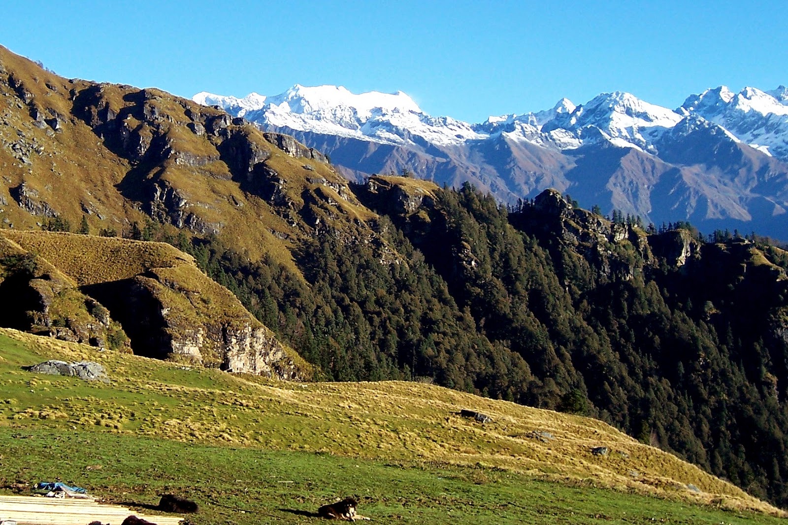 Rudranath - JungleKey.in Image