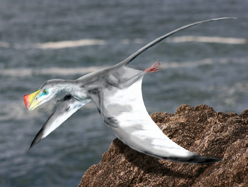 Escenarios prehistóricos: Austriadactylus