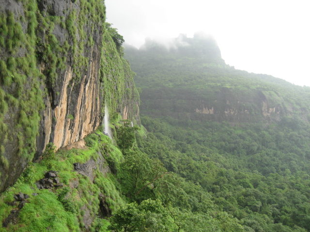 On the Edge of Sahyadris: Bhimashankar trek from Karjat.The King of all ...