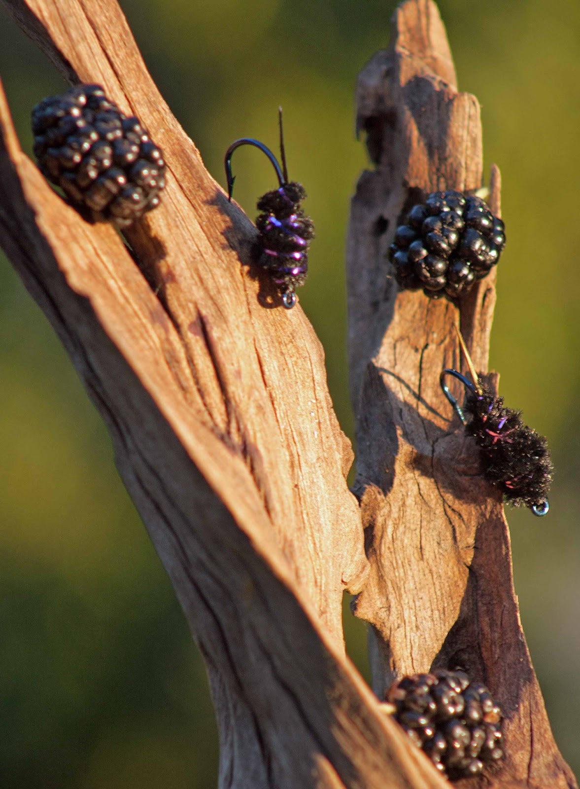 Tom Keith's Fly Fishing Journal
