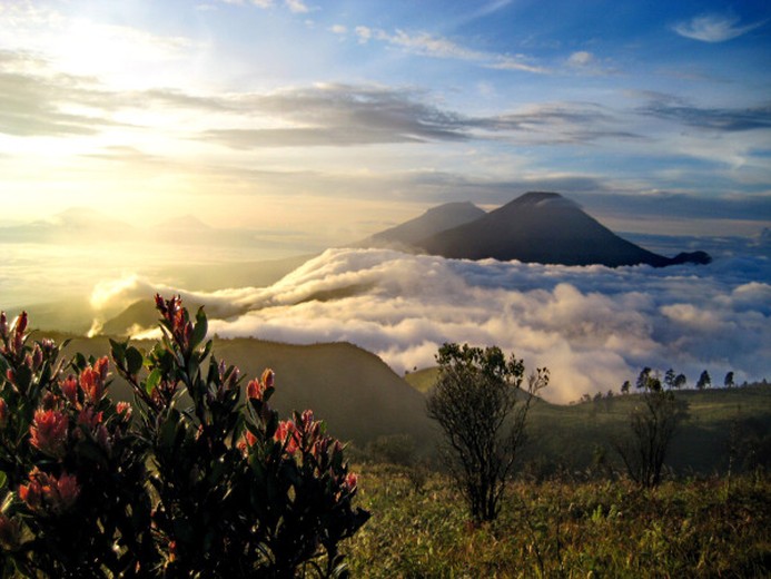( Artikel 2 ) Negeri Di Atas Awan