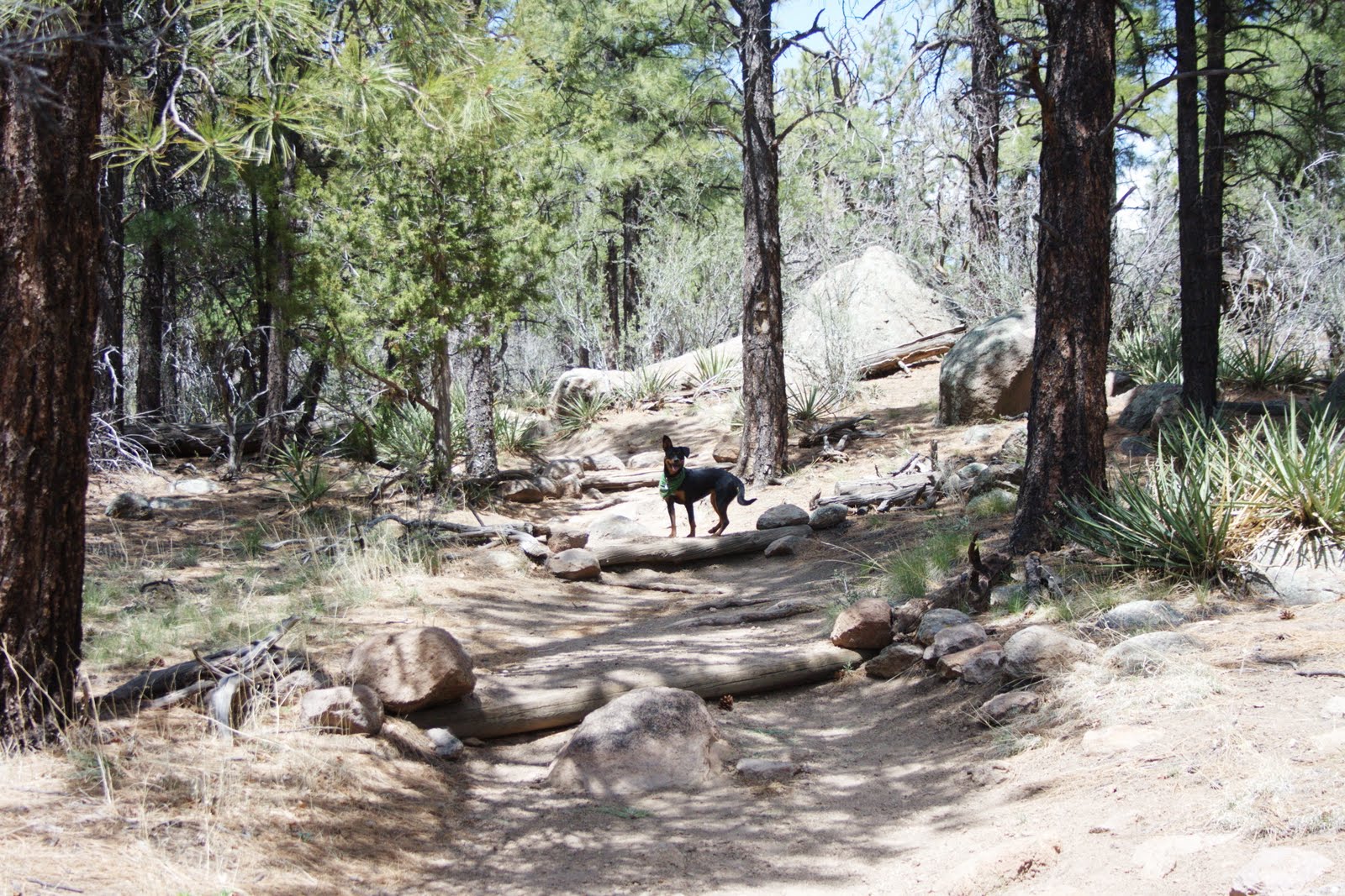 A Day In the Life Of: Fat Man's Loop, Flagstaff, AZ