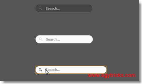 Css Search Box