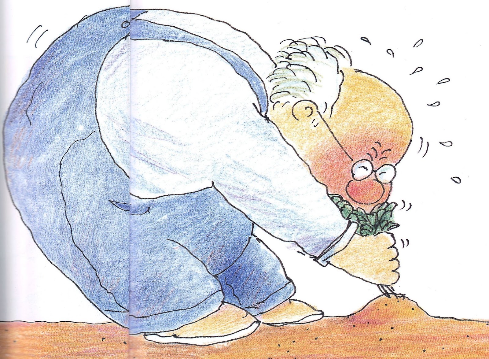 Na escola a gente aprende: Plano de trabalho - "O grande rabanete ...