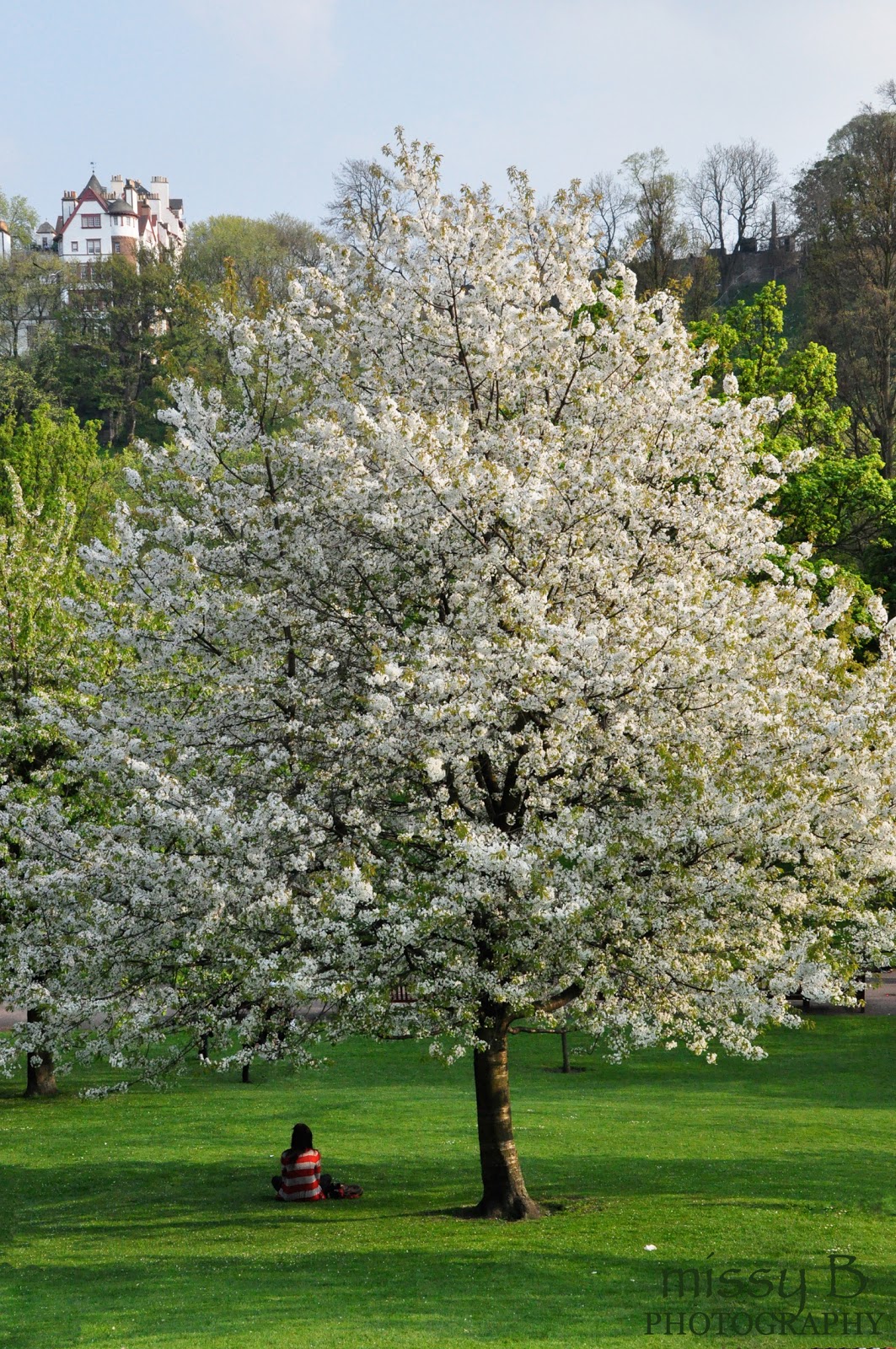 missy b photography: Edinburgh, Scotland