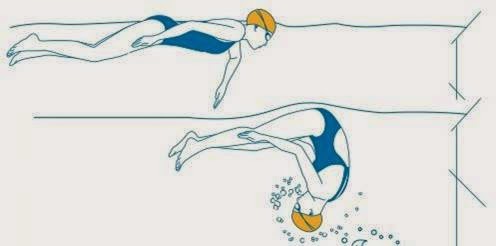 What are the biomechanical principles of the freestyle tumble turn?