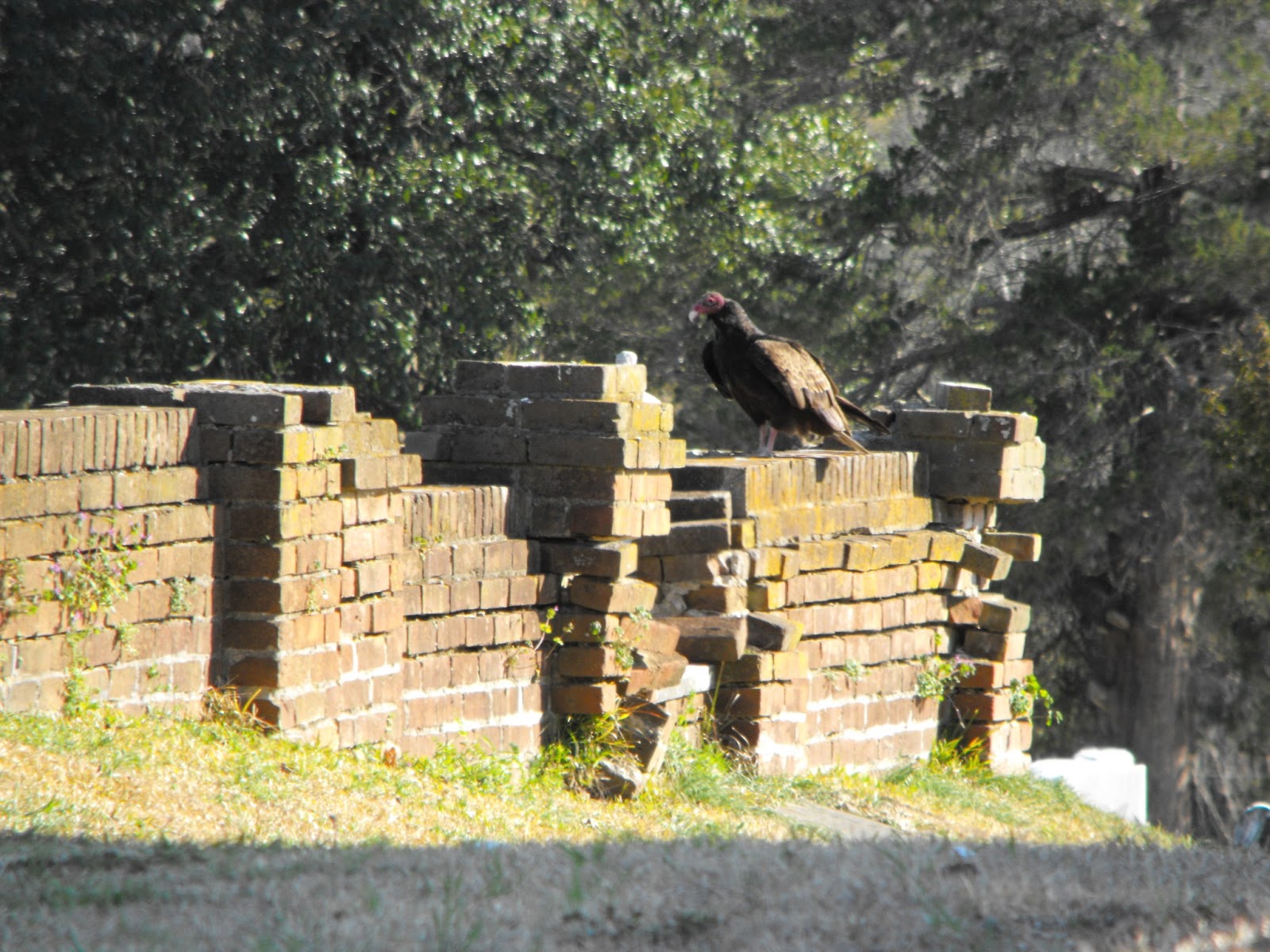 Marian's Hunting Stories, etc., etc., etc...: A Cemetery Visit