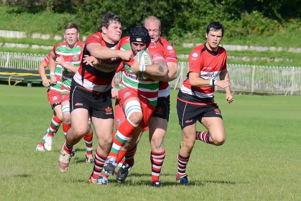 Martin Veale - Steel and Survival