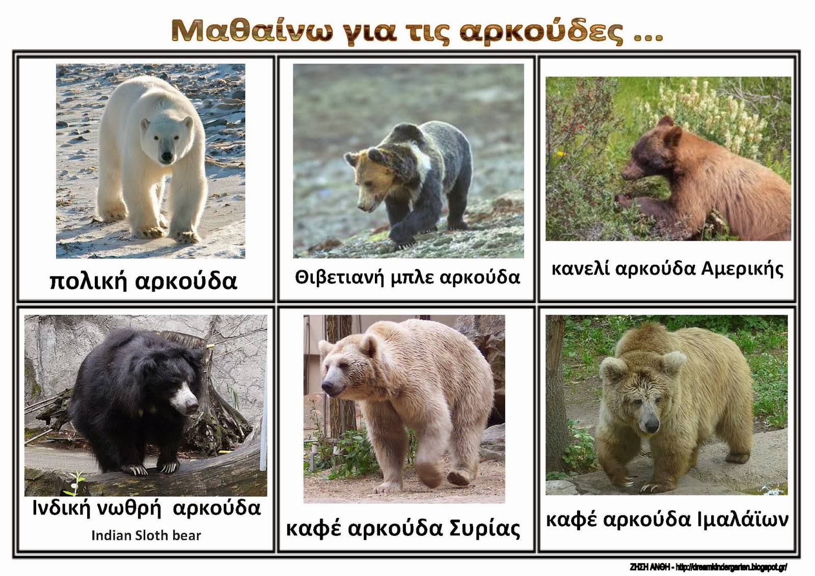 Το νέο νηπιαγωγείο που ονειρεύομαι : Πίνακες αναφοράς με αρκούδες