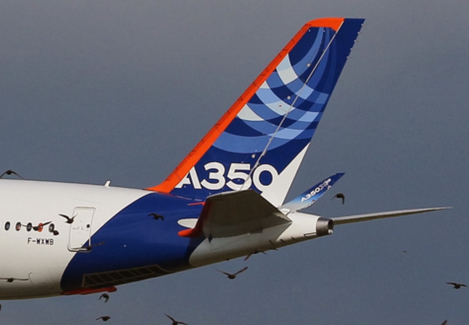 A350 XWB News: A350 first prototype MSN1 celebrates the 100th flight ...