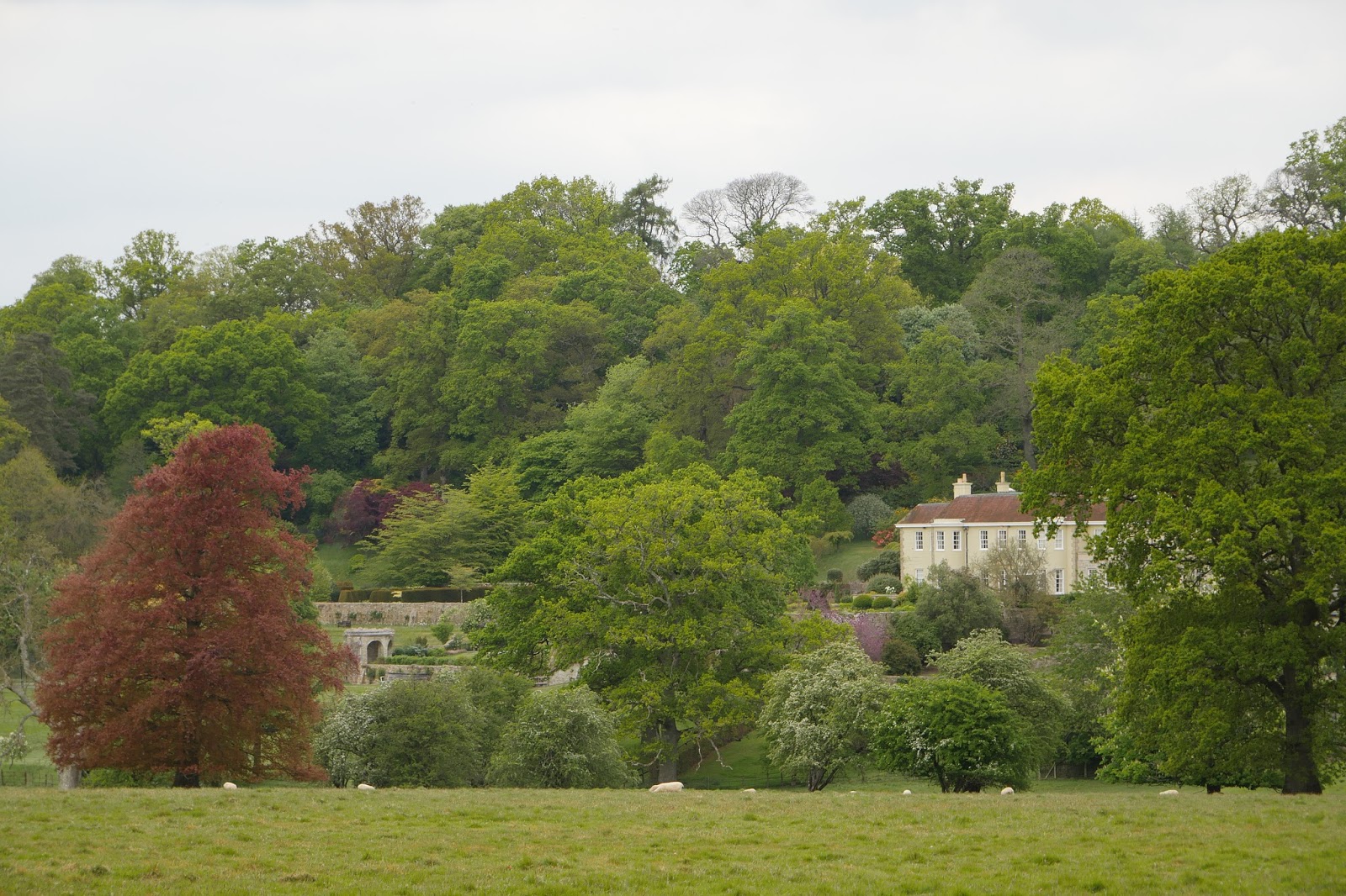 Walking in the country: The Fonthill estate