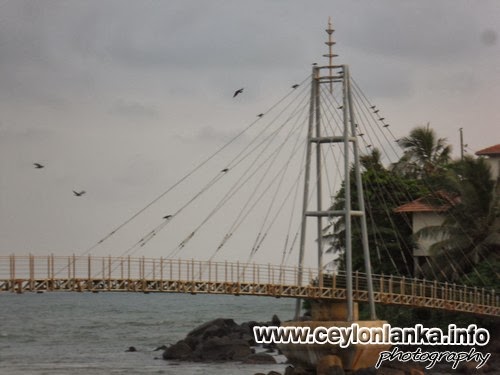 Matara Paravi Dupatha ( Pigeon Island )