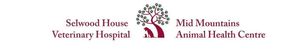 Hazelbrook Public School P&C