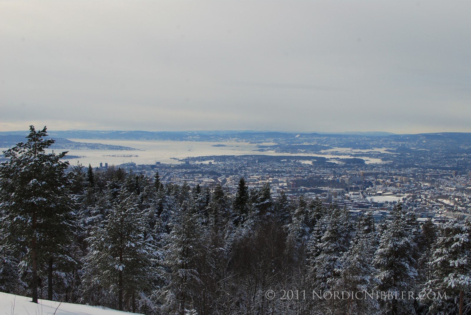 Nordic Nibbler: Lunch at Grefsenkollen, Oslo – Restaurant Review