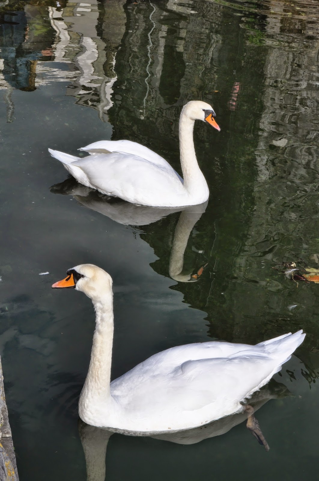 November 2014 - ILMB