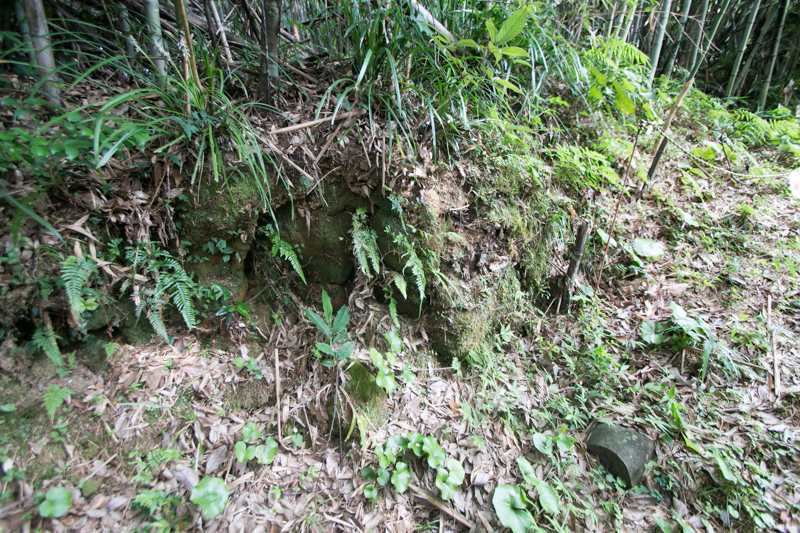 Sadowara Castle -Two-sided castle of two-sided domain- | Ken's Storage ...