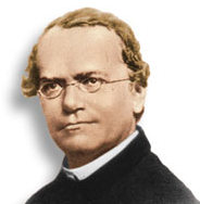 CIENCIA Y VIDA: GREGOR MENDEL